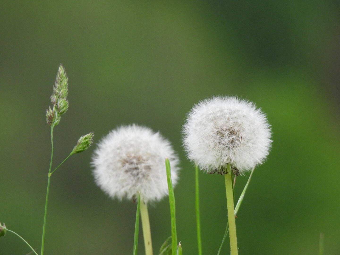 Incantation poetry – a simple way to write every day – Gillian O ...